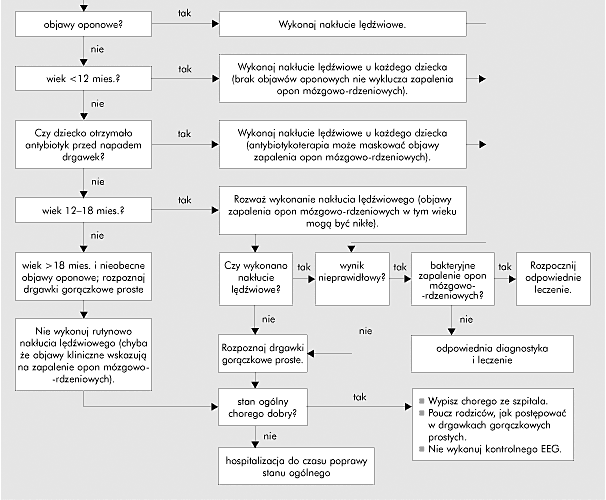 Drgawki gorączkowe proste - postępowanie diagnostyczne po pierwszym ...